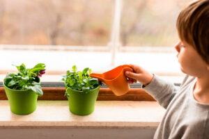How We Can Motivate Children to Adopt Gardening as a Hobby – moppit.in