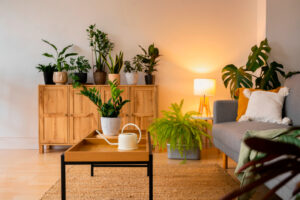 How You Can Style Small Spaces with Moppit – moppit.in